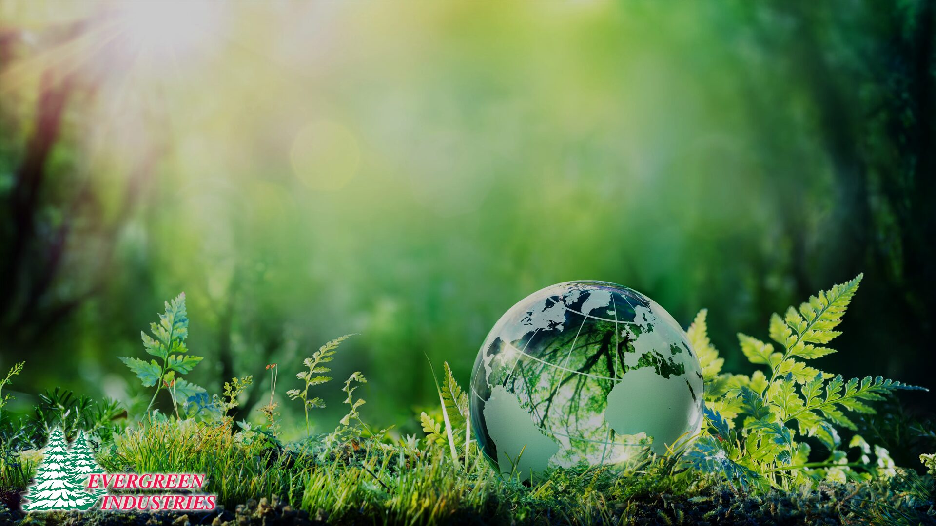 Evergreen Industries Commitment to Sustainability - Evergreen Industries